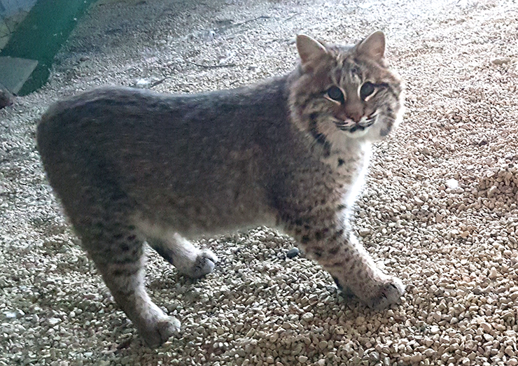 Rockton-Roscoe News: Friday, Jan. 23, 2026