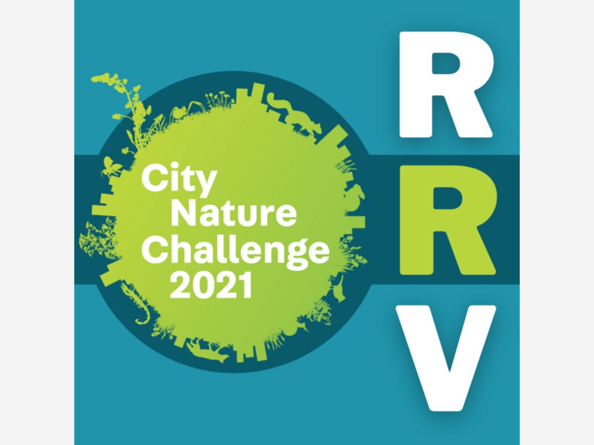 Rock River Valley City Nature Challenge