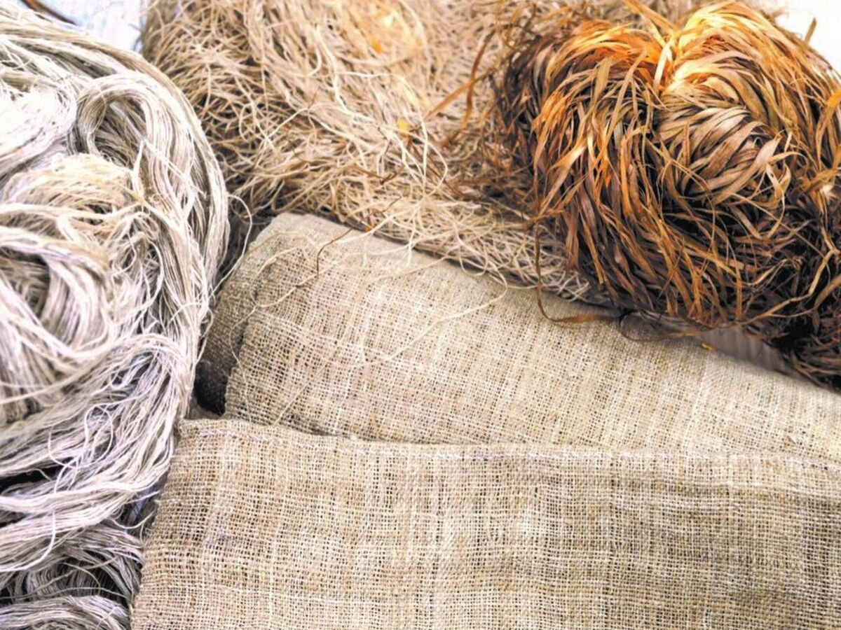 Workshops announced for It's About the Fiber Weekend: Macktown Living ...