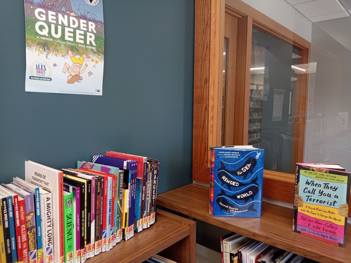 Patrons at Talcott Library object to Pride Month books, board member ...