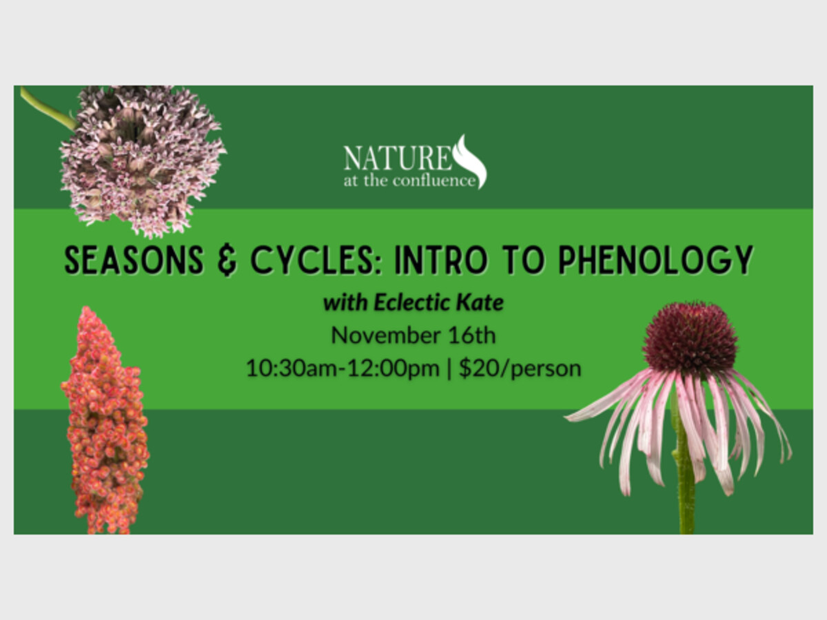 Seasons & Cycles: Intro to Phenology