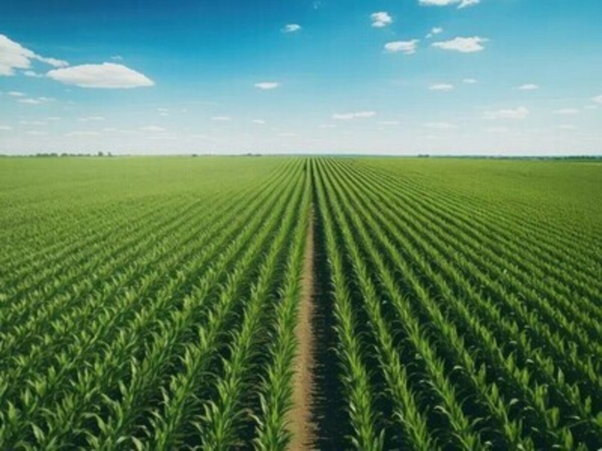Rockton American Legion’s 62nd Rifle Squad Corn Boil