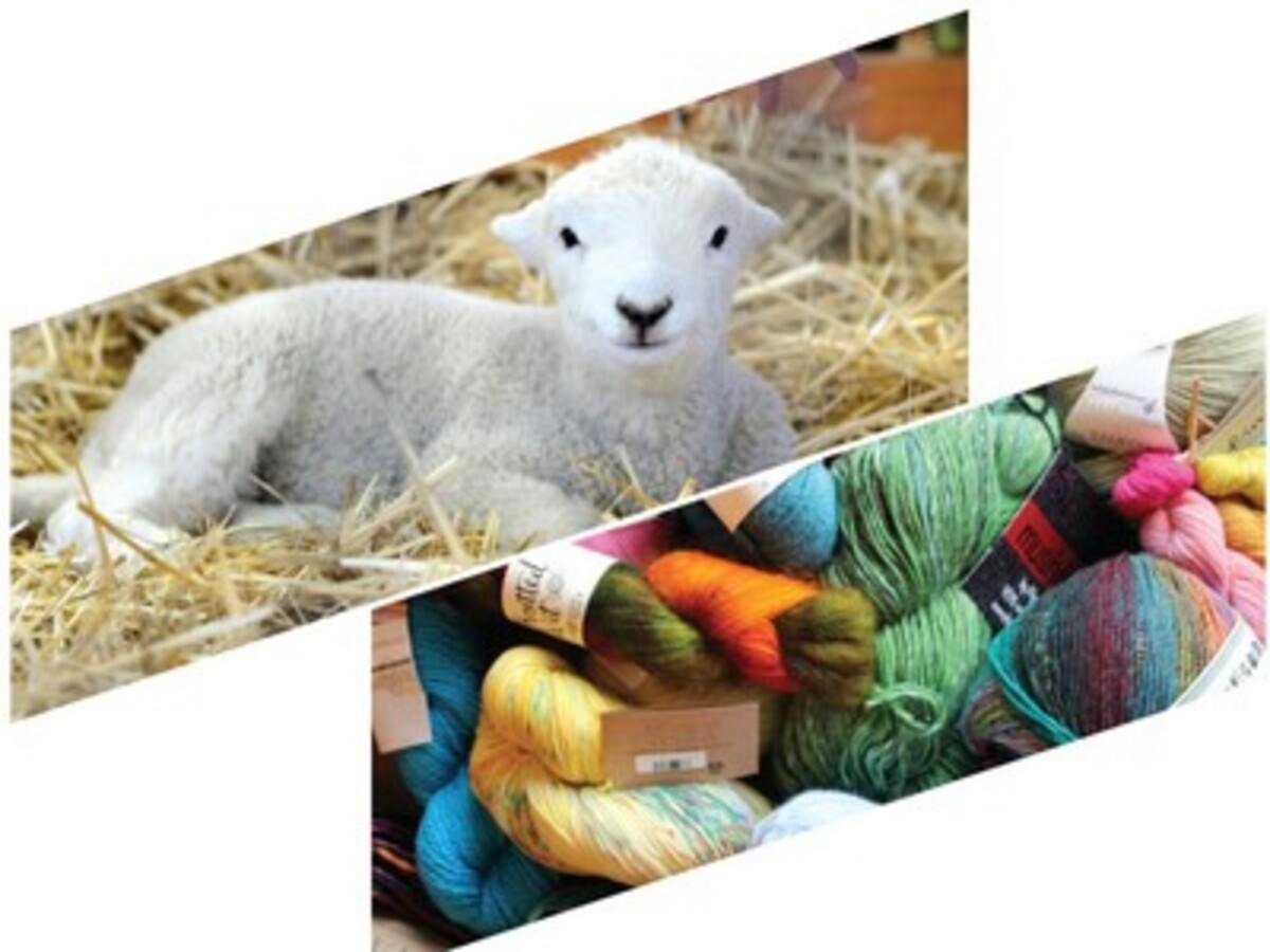 Kid's Day at It's All About Fiber - Macktown Living History