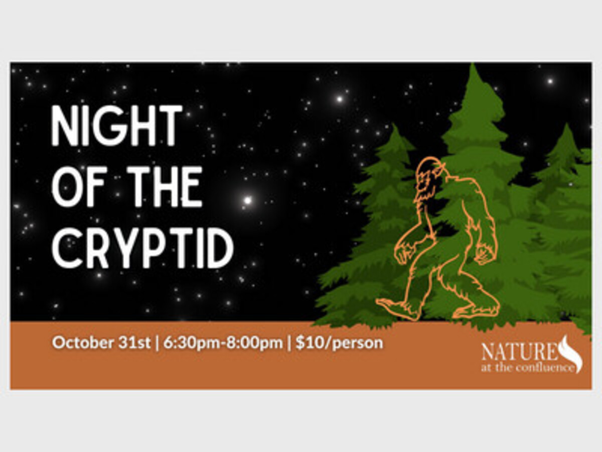 Night Of The Cryptid