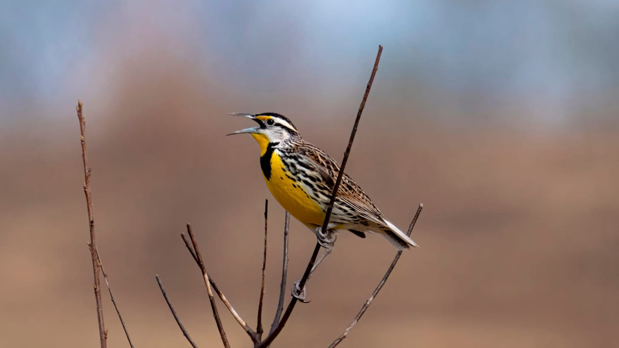 Open house at private Jerry and Kathy Busse Prairie Preserve