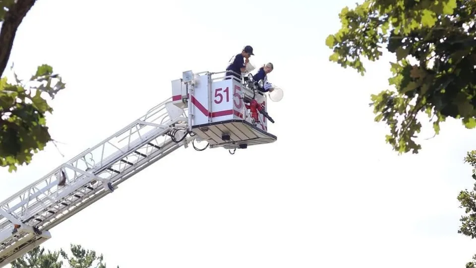 Rockton, IL - Rockton-Roscoe News